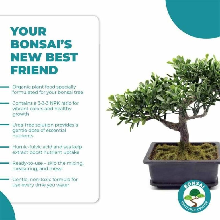 Bonsai Tree Food | Bonsai Tree Resource Center