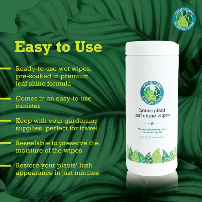 Houseplant Leaf Shine Wipes | Bonsai Tree Care Tips